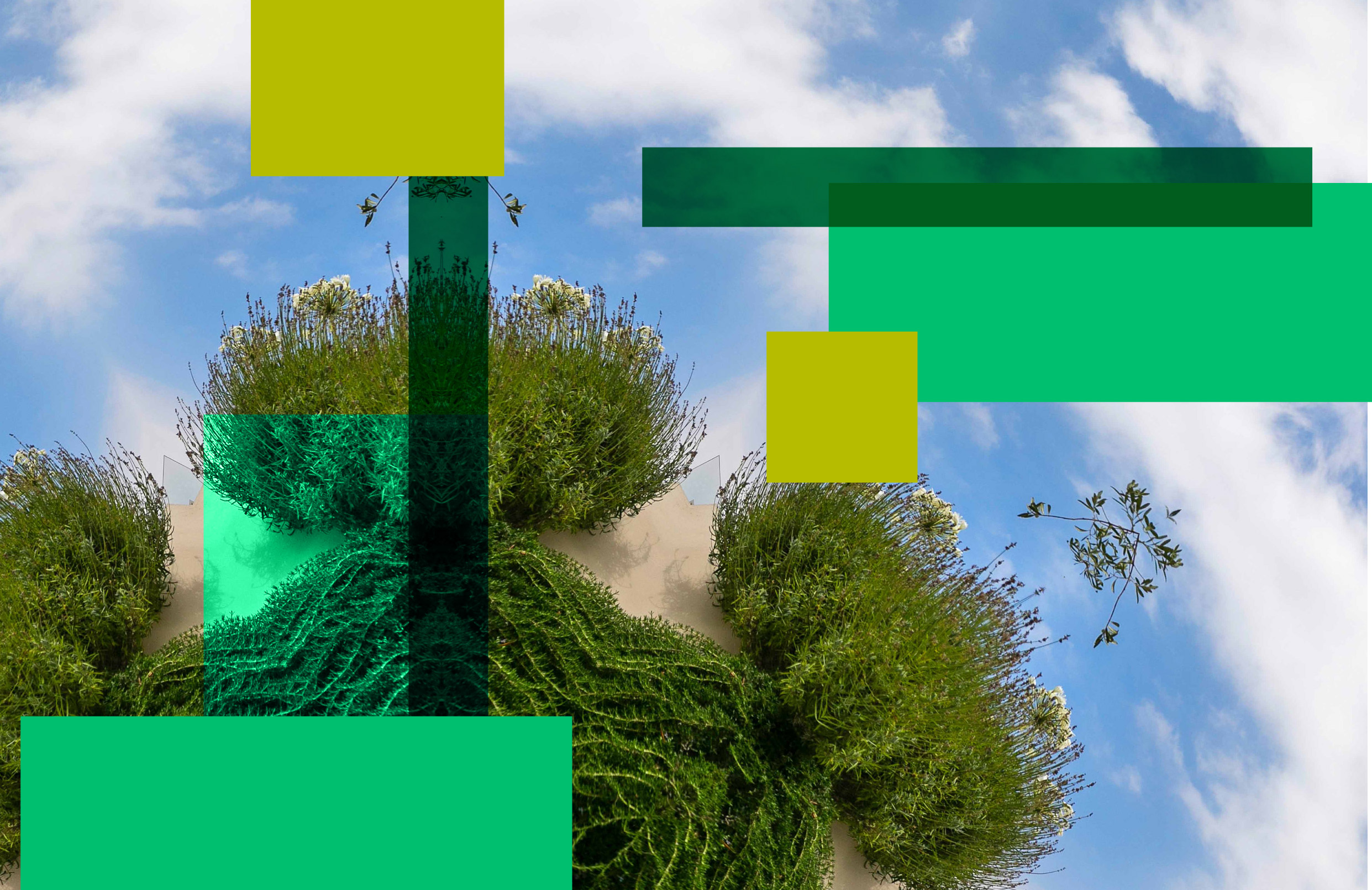 Omnibus Package: Proposed Amendments to CSRD and CSDDD - Arthur Cox LLP