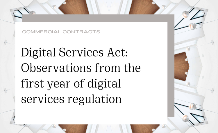 Digital Services Act: Observations from the first year of digital ...