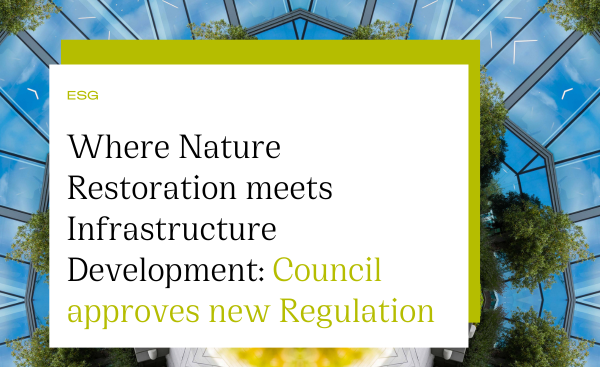 Where nature restoration meets infrastructure development: Council ...