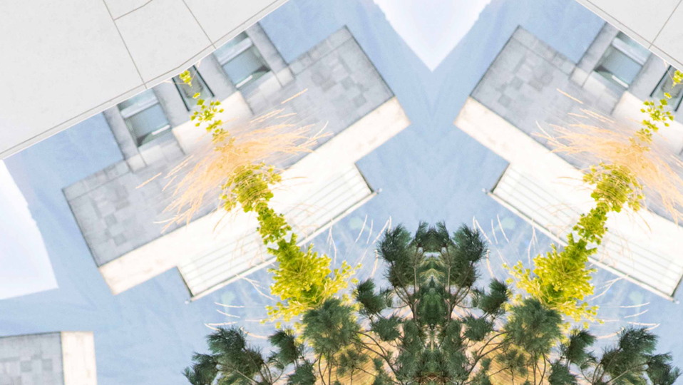 First Draft Released of the General-Purpose AI Code of Practice ...